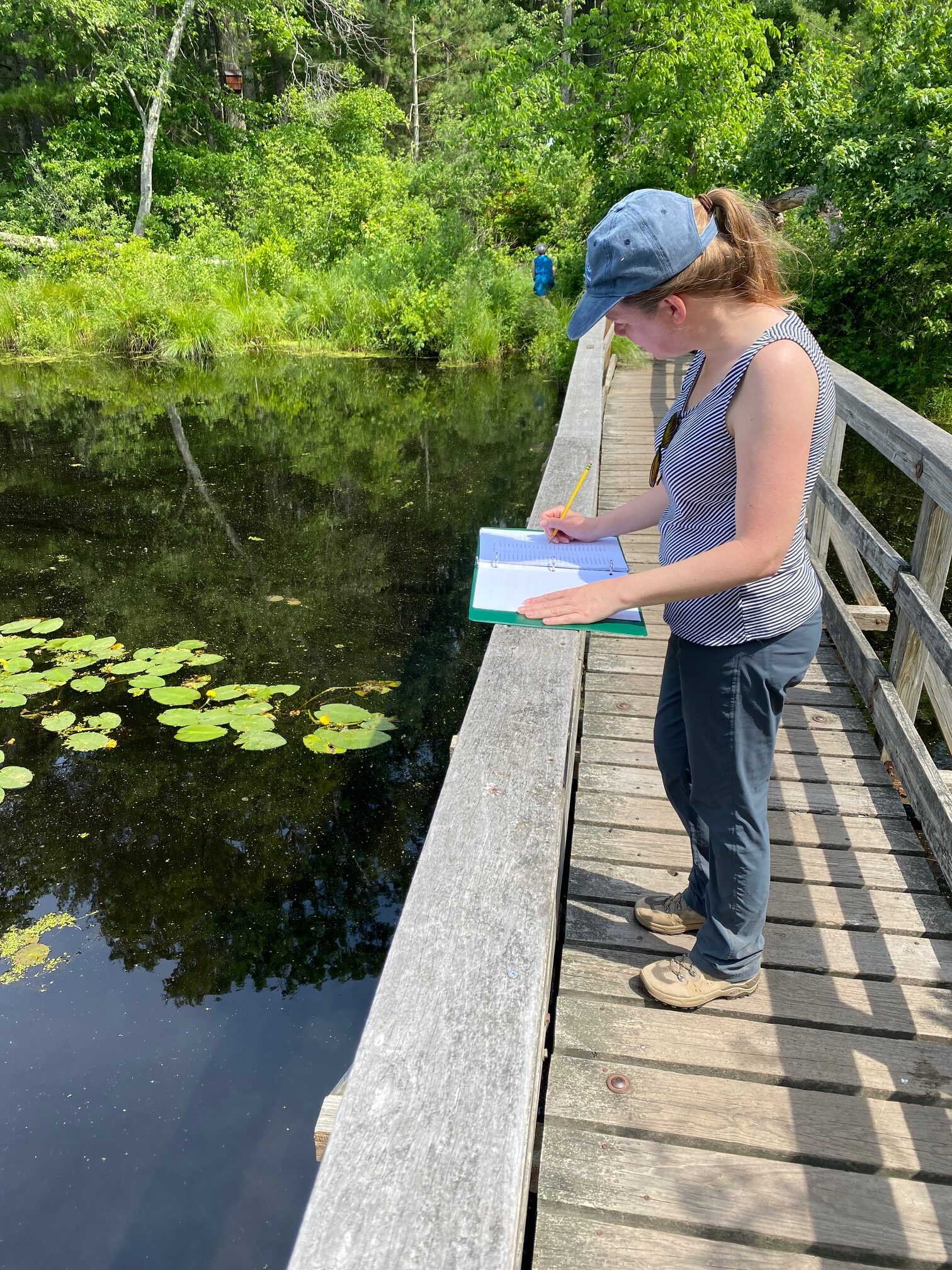 Alissa for Acton – Candidate for Select Board